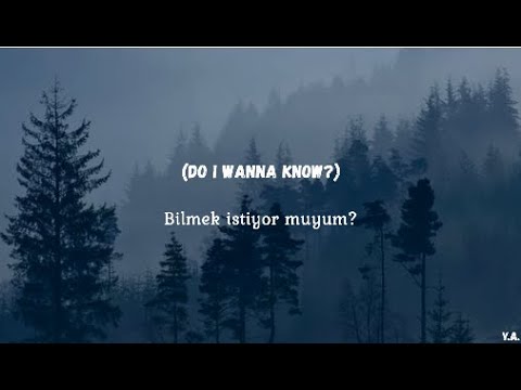 Arctic Monkeys - Do I Wanna Know? (Lyrics+Türkçe Çeviri)