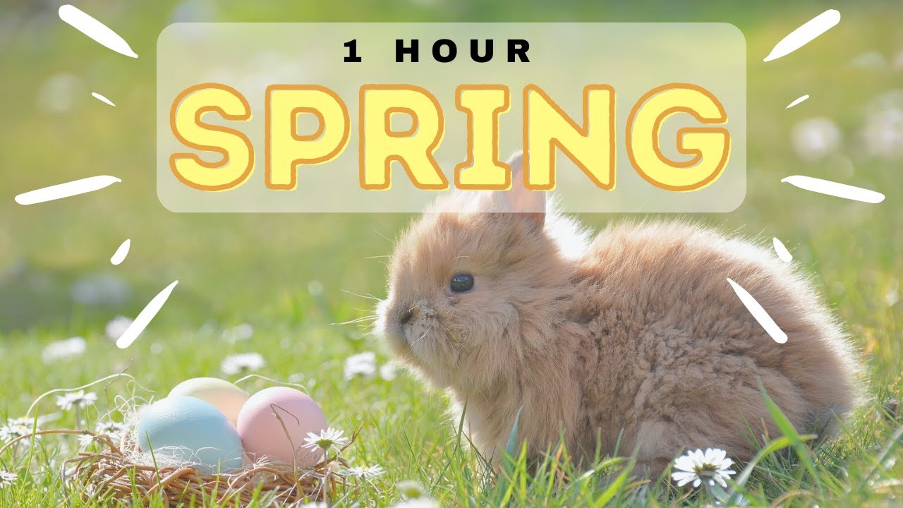Beautiful Easter Spring Instrumental Music 💐 Springtime Ambience Music ...