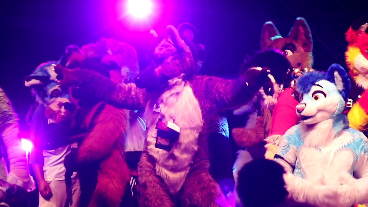 Midwest Fur Fest 2018 Highlight Reel - YouTube