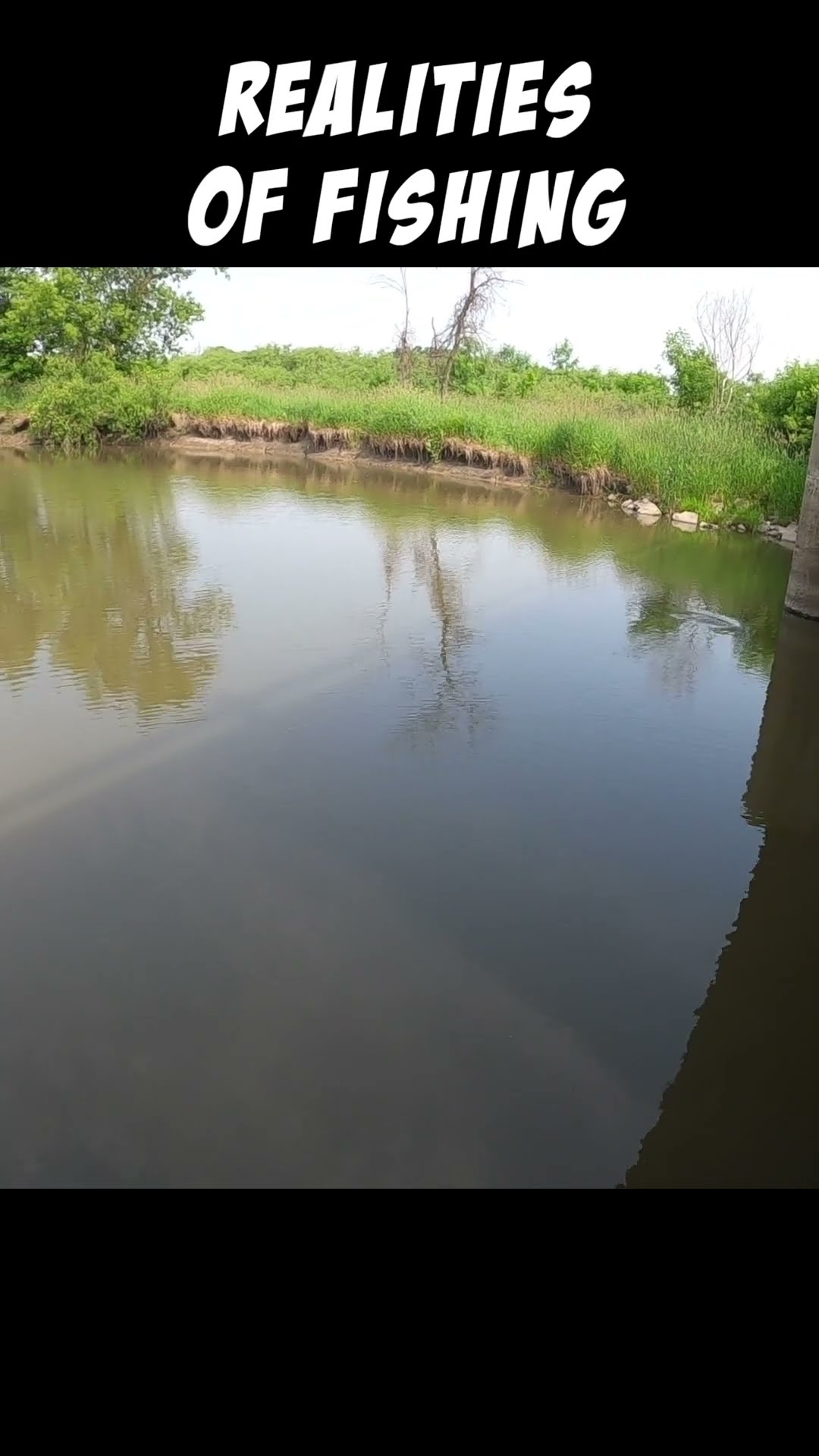 I Missed This One! - YouTube