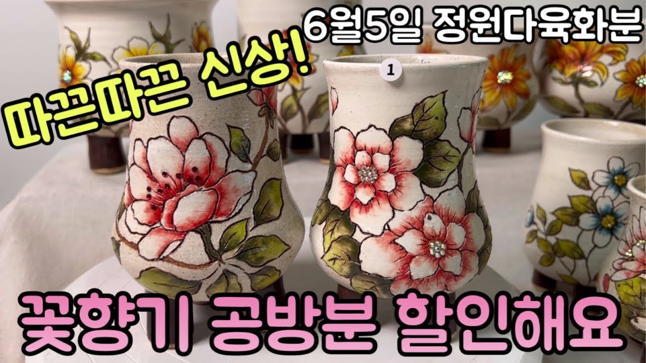 2024년 6월 5일 신상꽃향기공방분 할인가로 찜해보세요정원다육화분꽃향기분 수제공방분 다육화분 다육화분싸게파는곳 화분예쁜집 Youtube