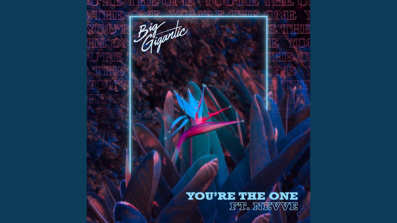 You’re The One - YouTube