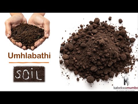 Umhlabathi Part 1 - YouTube