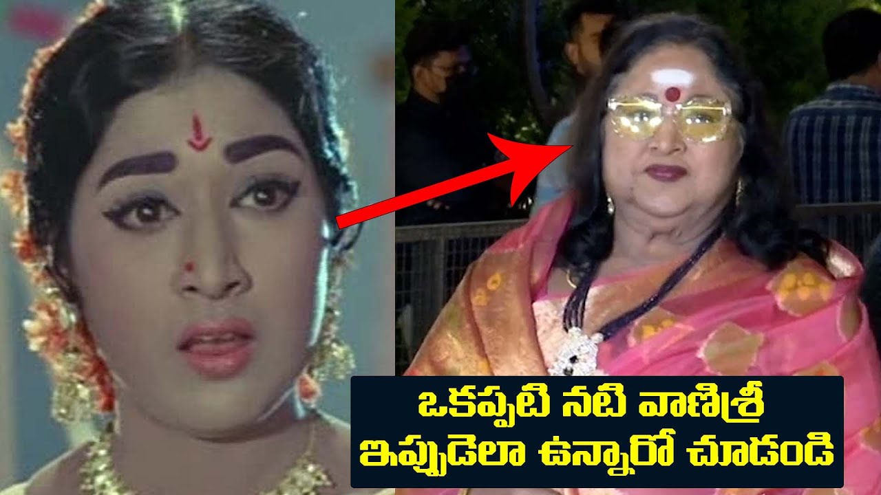 Senior Actress Vanisri Latest Visuals At Santosham Awards 2022 | Leo ...