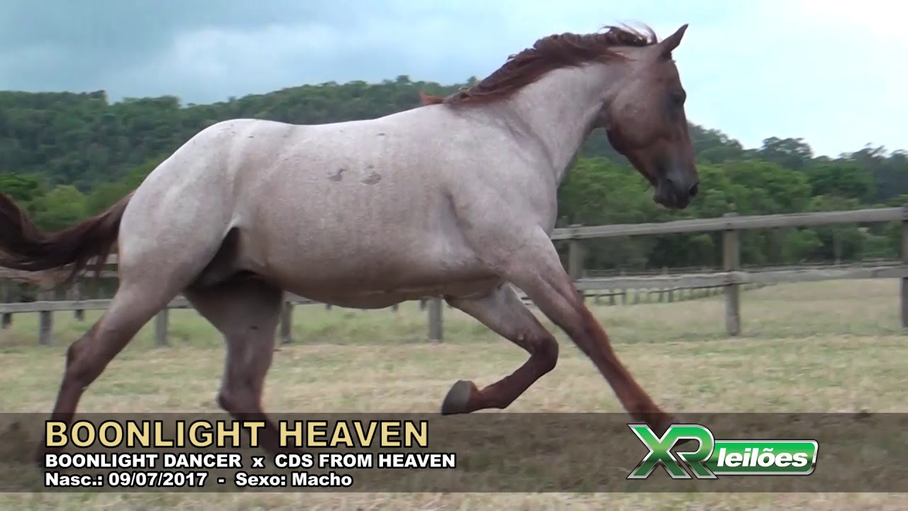 09 BOONLIGHT HEAVEN - YouTube