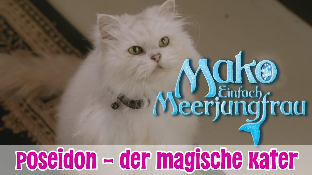 Magie der Katze? | Mako - Einfach Meerjungfrau - YouTube