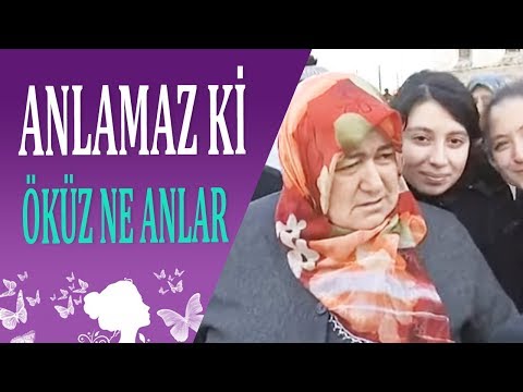 Öküz Ne Anlar  Anlamzki Camiş