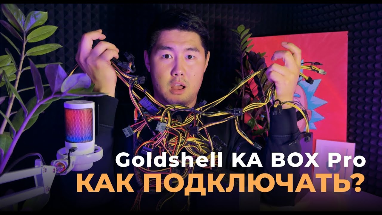Goldshell KA BOX Pro – ПОЛНЫЙ ОБЗОР! КАК ПОДКЛЮЧИТЬ И ЗАПУСТИТЬ? - YouTube