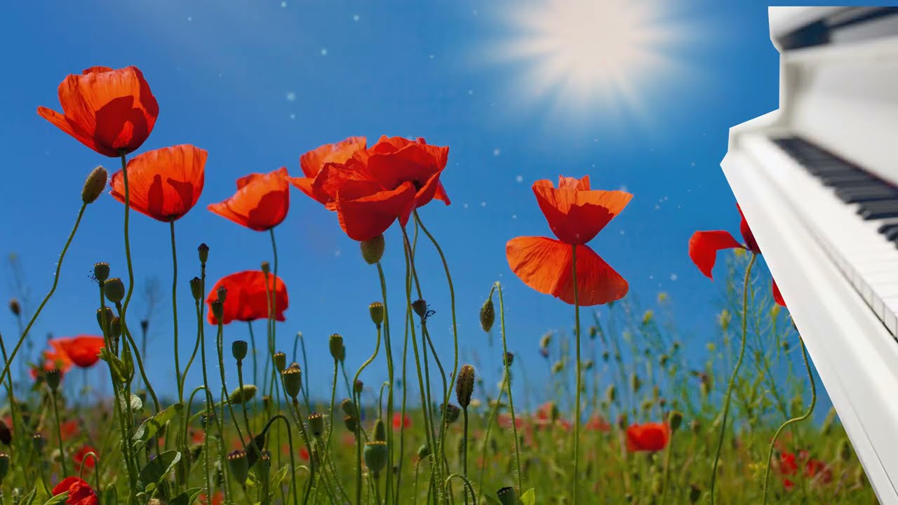 Soft Instrumental Piano Music 🎹 Spring "Flowers of the Piano ...