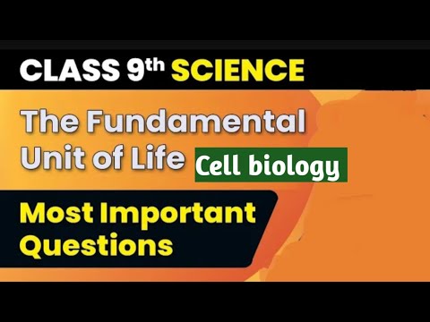 The fundamental unit of life class 9 cell biology vvi Ncert questions ...