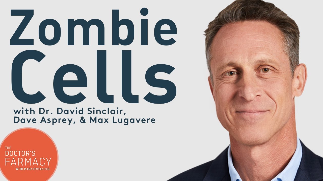 What Are Zombie Cells? - YouTube