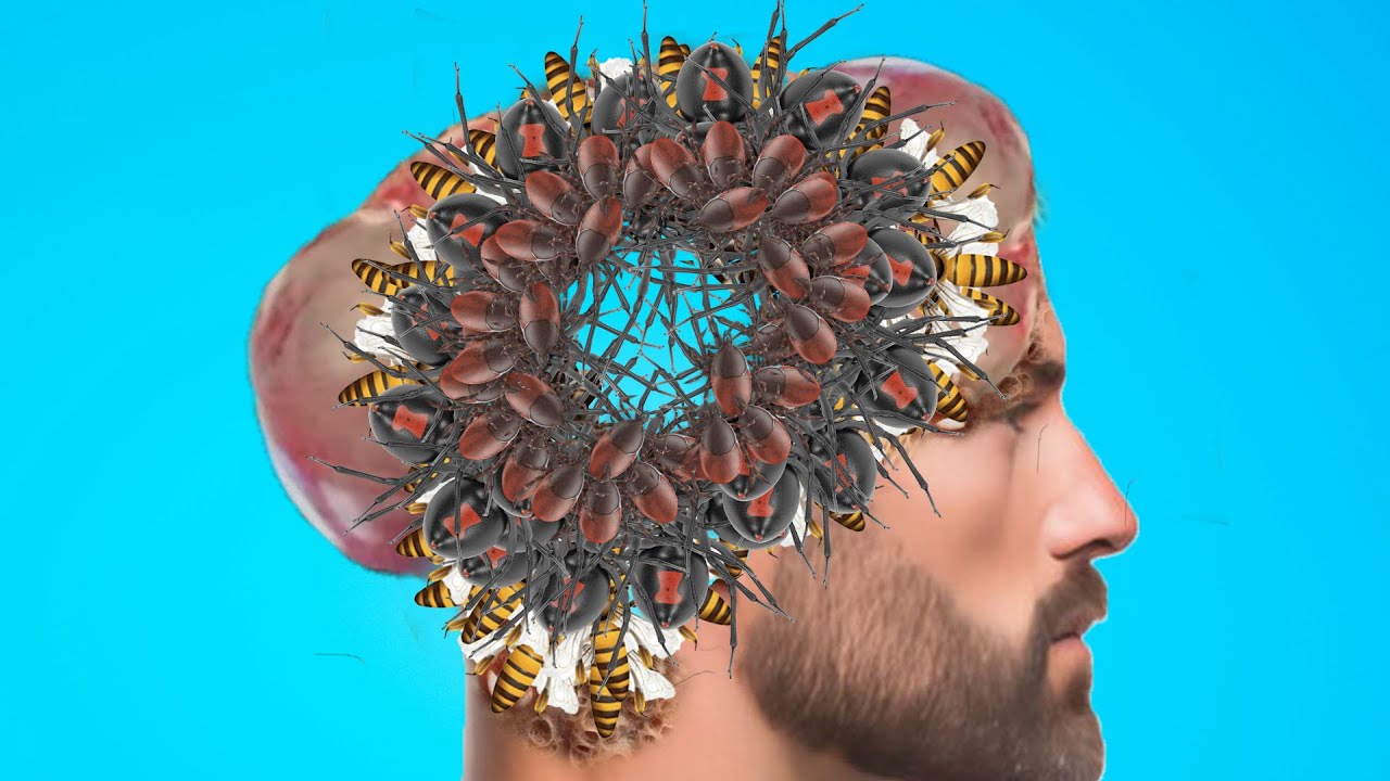 Live ASMR Animation Dog Ticks Removal & Back Treatment | severely ...