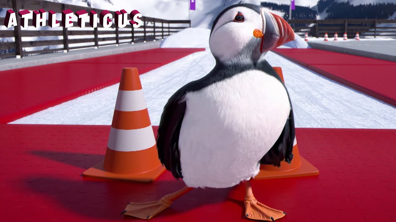SLIDE LIKE A PUFFIN 🐧 ATHLETICUS | Cartoon in English - YouTube