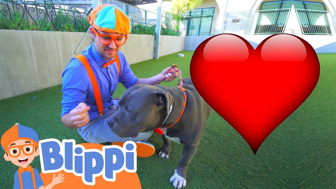 Blippi Visits an Animal Shelter | Learn Animals for Children ...