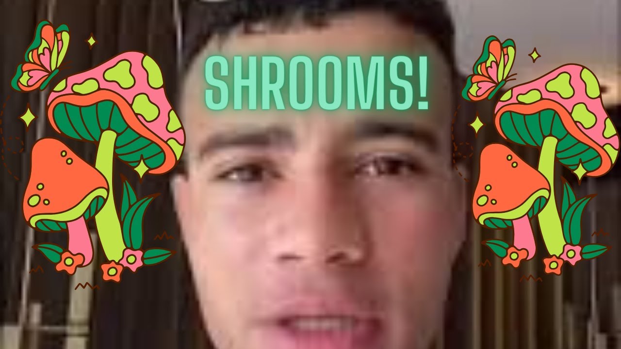 HS tikkytokky on SHROOMS LIVE! - YouTube