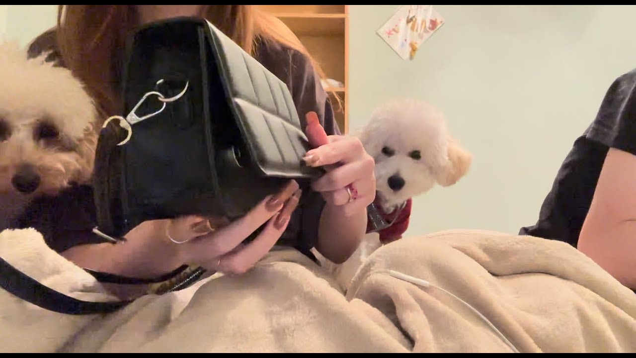 ultra tingly lofi tapping with boyfriend asmr - YouTube
