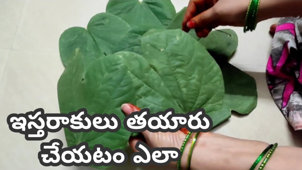 Plates Made With Natural Leaves (Vistaraku,Addaku)How To Make Natural ...