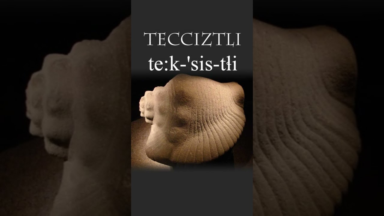 Nahuatl Word of the Week 27: TECCIZTLI (Shell 🐚) - YouTube