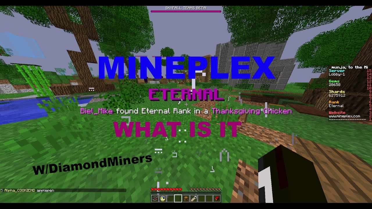 Mineplex NEW RANK- Eternal Rank- HOW TO GET IT???? - YouTube
