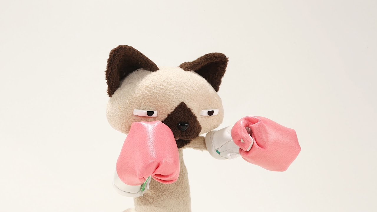 Get Meow Meow Punch │STOP MOTION - Botos - YouTube