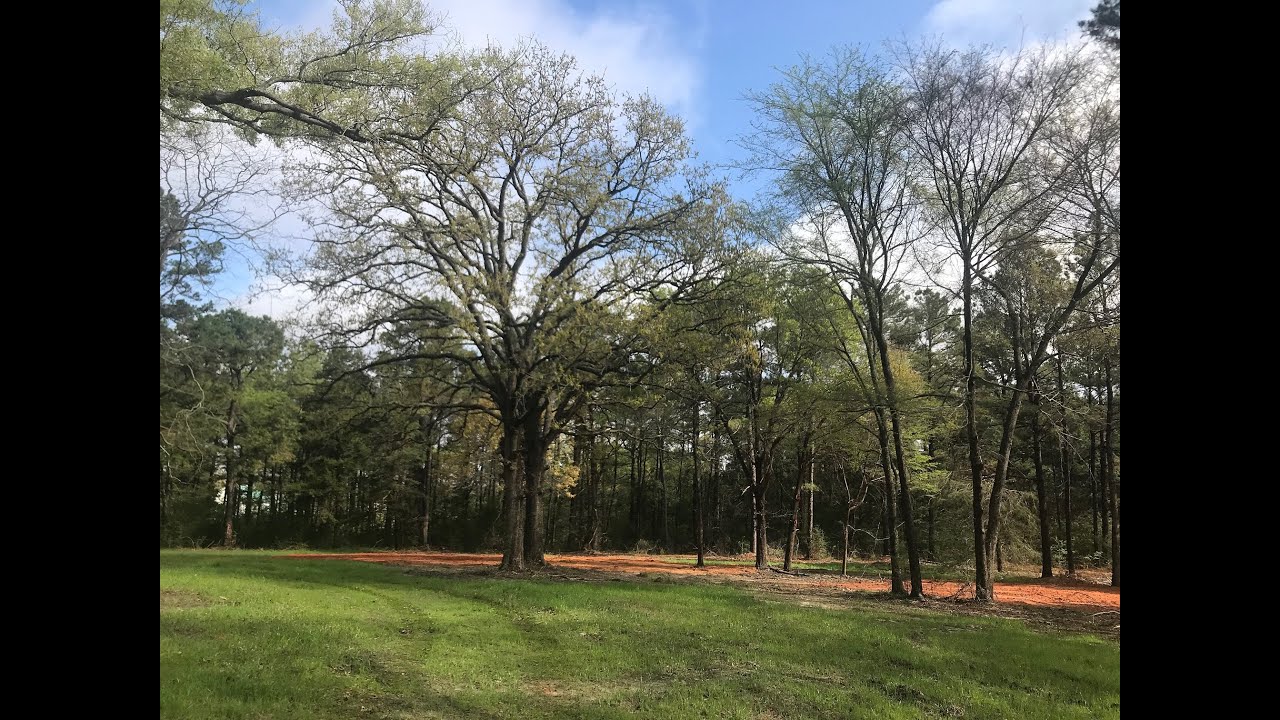 46.052 Beautiful Acres of land with newly constructed pond, premium ...