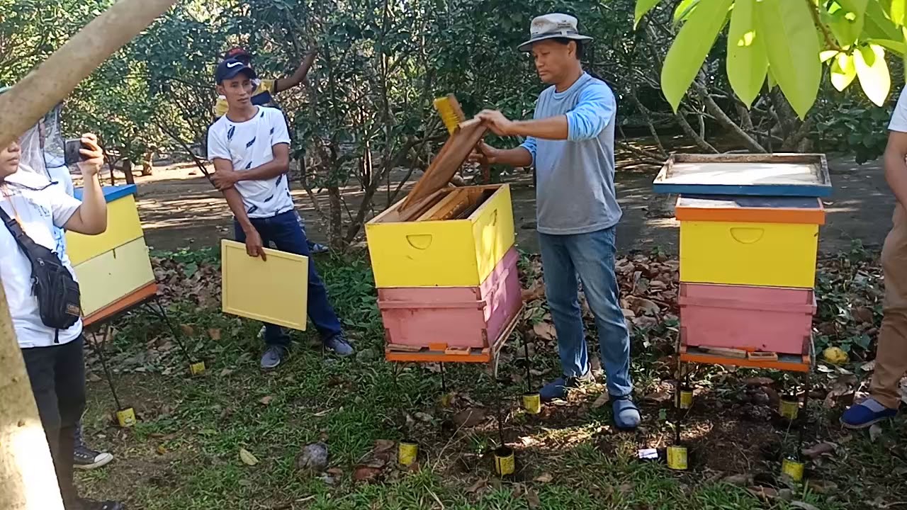 Beekeeping seminar - YouTube