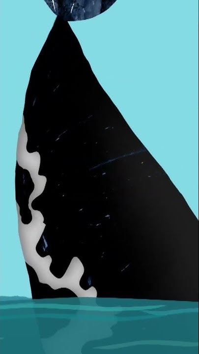 ballena - YouTube