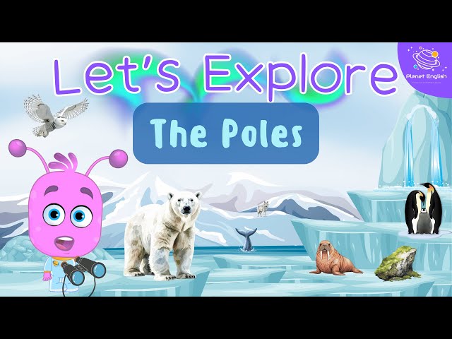 Let's Explore The Poles for Kindergarten | EYFS - Videos For Kids