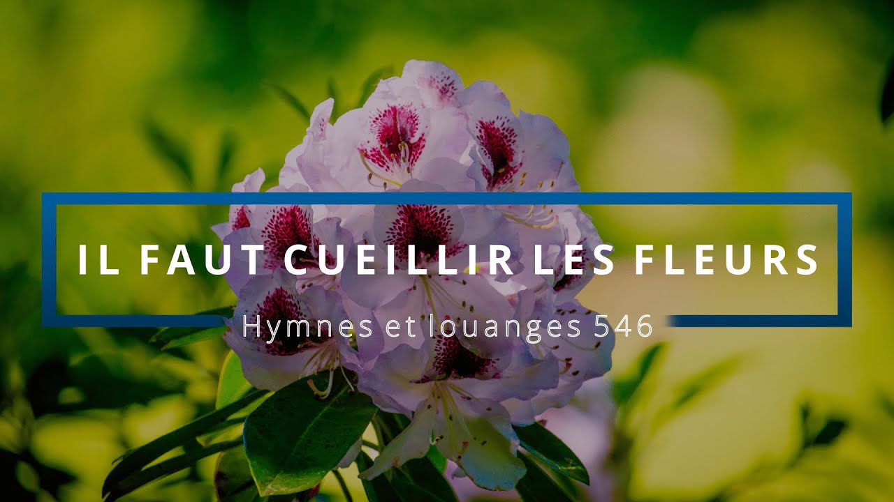 546 - Il faut cueillir les fleurs (voix) | Hymnes et louanges ...