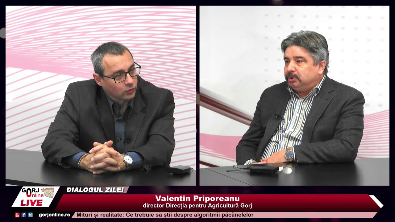 DIALOGUL ZILEI Invitat: Valentin Priporeanu, director Direcția pentru ...
