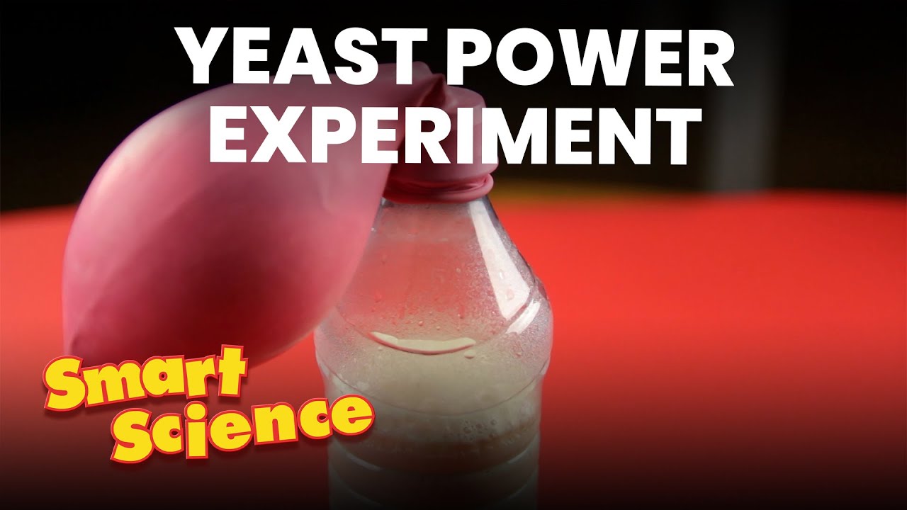 Yeast Power Experiment | Smart Science S1E38 | FULL EPISODE | Da Vinci - YouTube