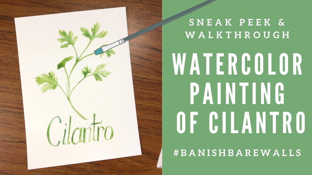 Watercolor Painting of Cilantro - Botanical Wall Art Process - Painting ...