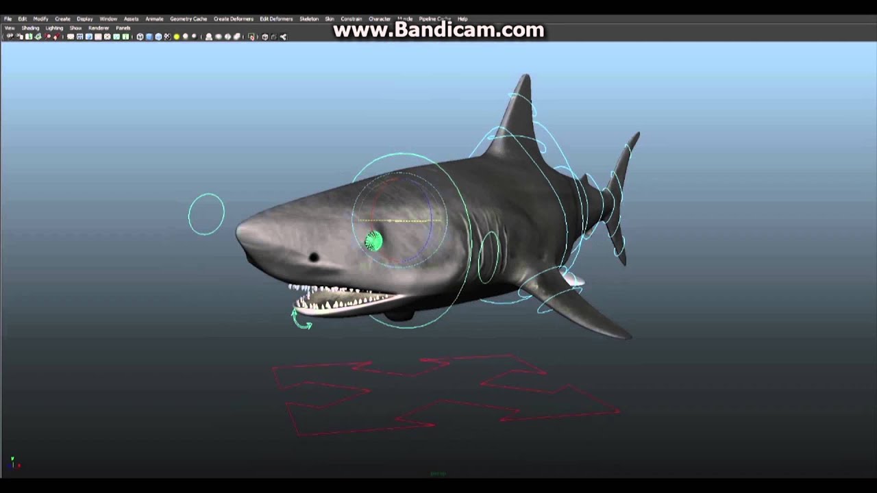 Shark rigging - YouTube