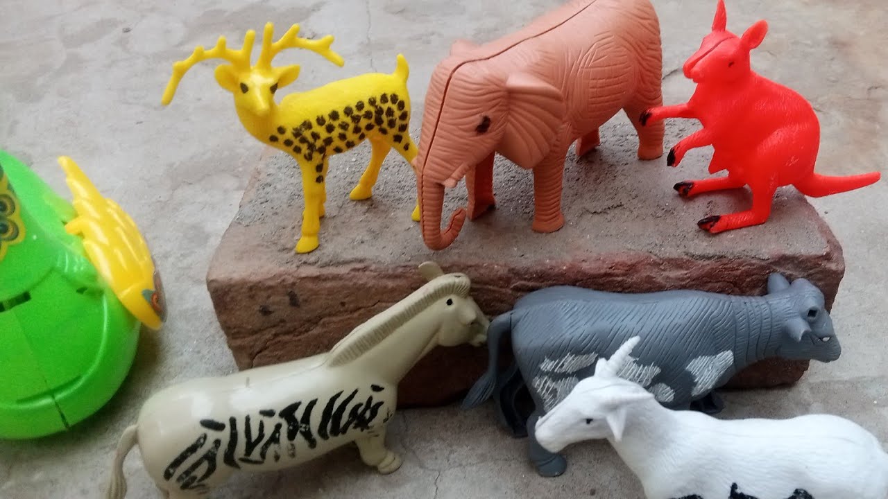 #janwer animal cow goat horase cangro deer ghora hathi video - YouTube