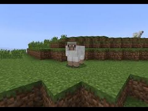 Jeb le mouton Minecraft - YouTube