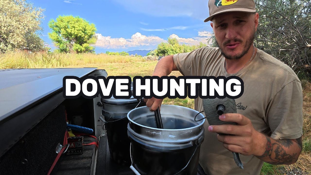 Dove Hunting in the Central Southern Zone – Gear, Success & Second ...