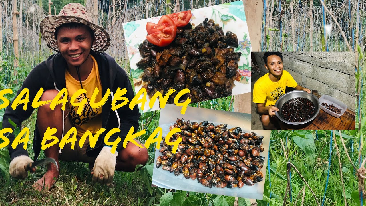 SALAGUBANG sa BANGKAG(Sibbaweng) - YouTube