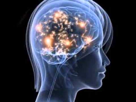 Effect of Lachrymatory Agents on Sensory Neural Synapse of Red Worms ...