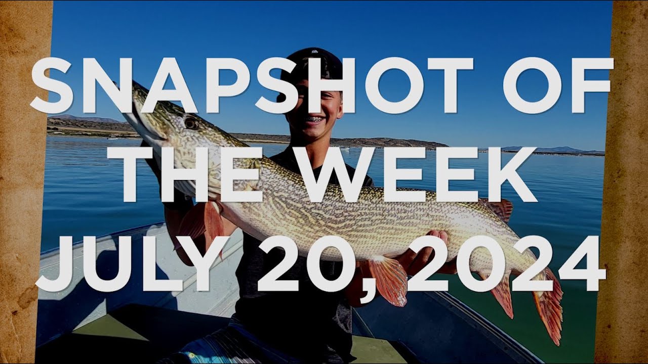 Snapshot of the Week: July 20, 2024 - YouTube
