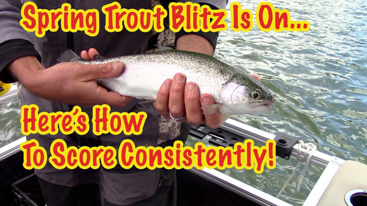 Early Spring Trout Tips! - YouTube