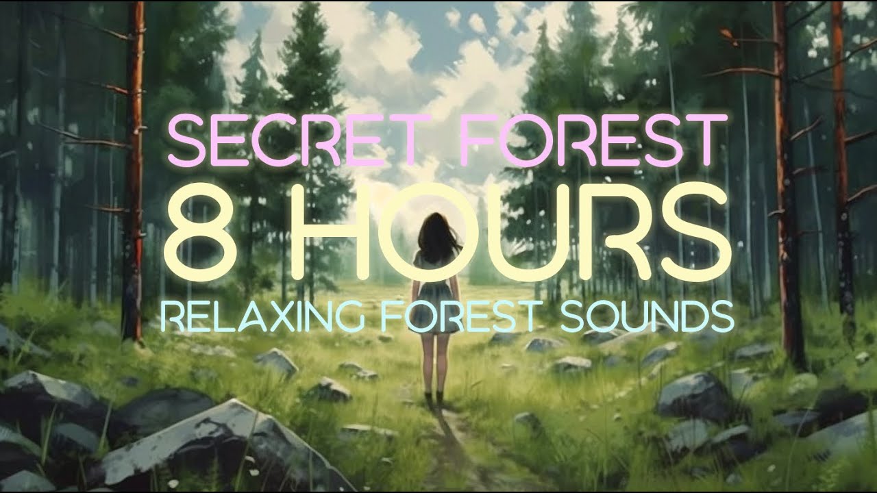 Secret Forest : 8 Hours : Relaxing Forest Sounds - YouTube