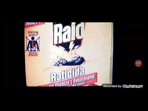 raid raticida veneno de ratas - YouTube