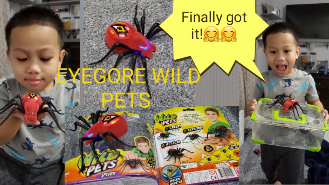 Wild pets spider eyegore | toy spider unboxing - YouTube