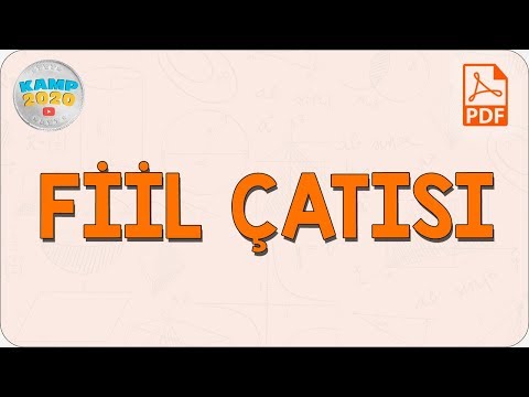 Fiil Çatısı | Kamp2020