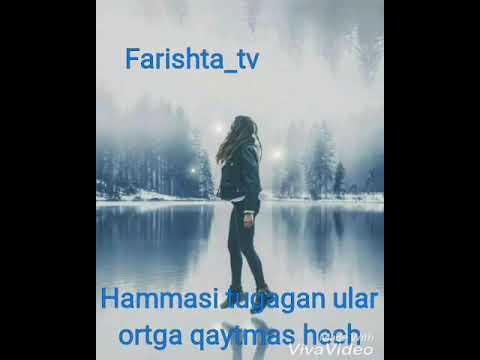 Yangi  video sherlar siveshganlar