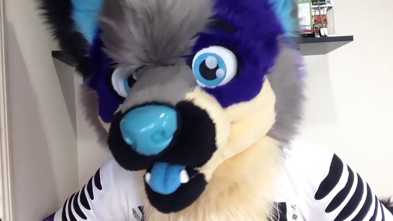 5 furry youtubers who have sworn ft Booker, Mark Barks, jacksfilms ...