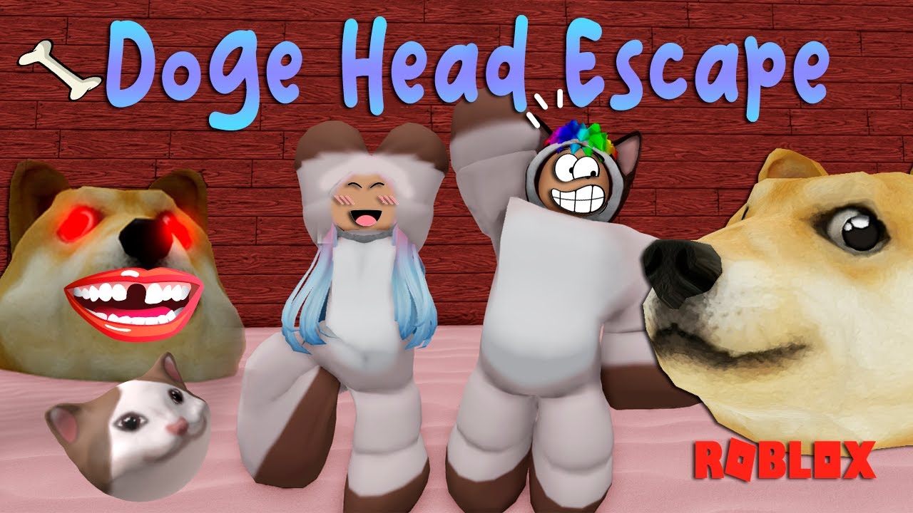 "SALVE MEUS GATINHOS" no DOGE HEAD ESCAPE | ROBLOX - YouTube