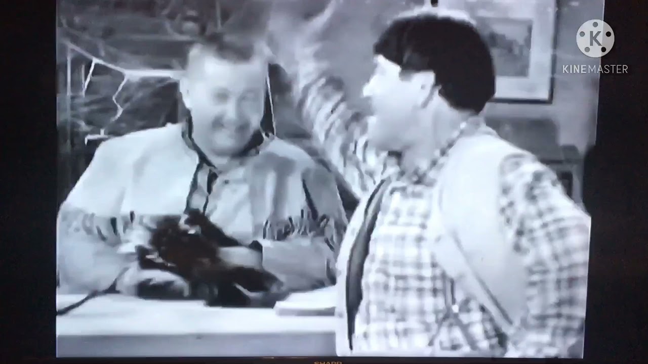 The three stooges: curly vs moe funny moments part one - YouTube