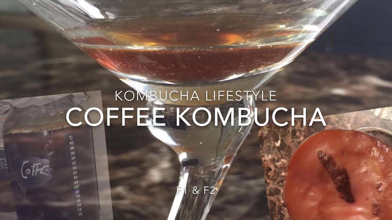 #119- coffee kombucha - Kombucha de café - YouTube
