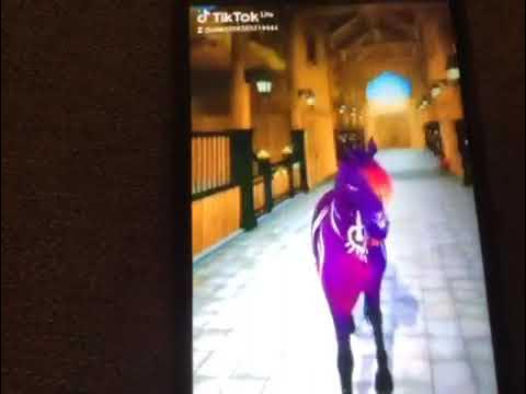 Стар стейбл лошади - YouTube